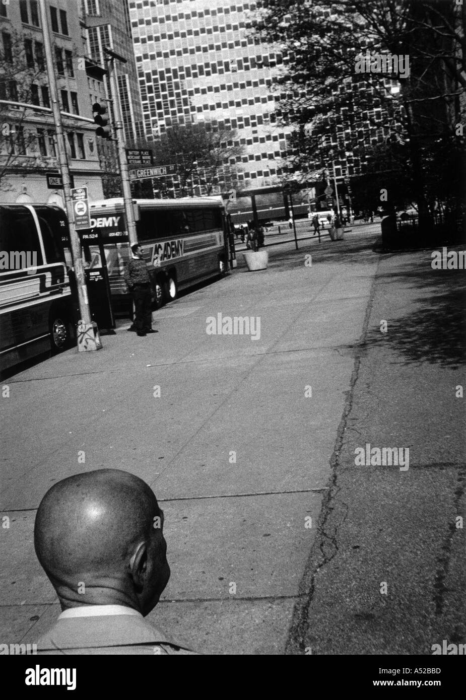 New bald Black and White Stock Photos & Images - Alamy