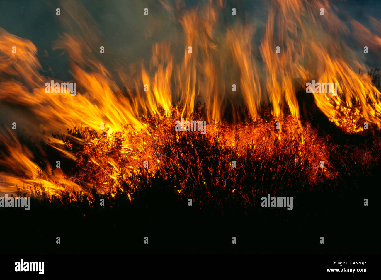 Rising flames hi-res stock photography and images - Alamy