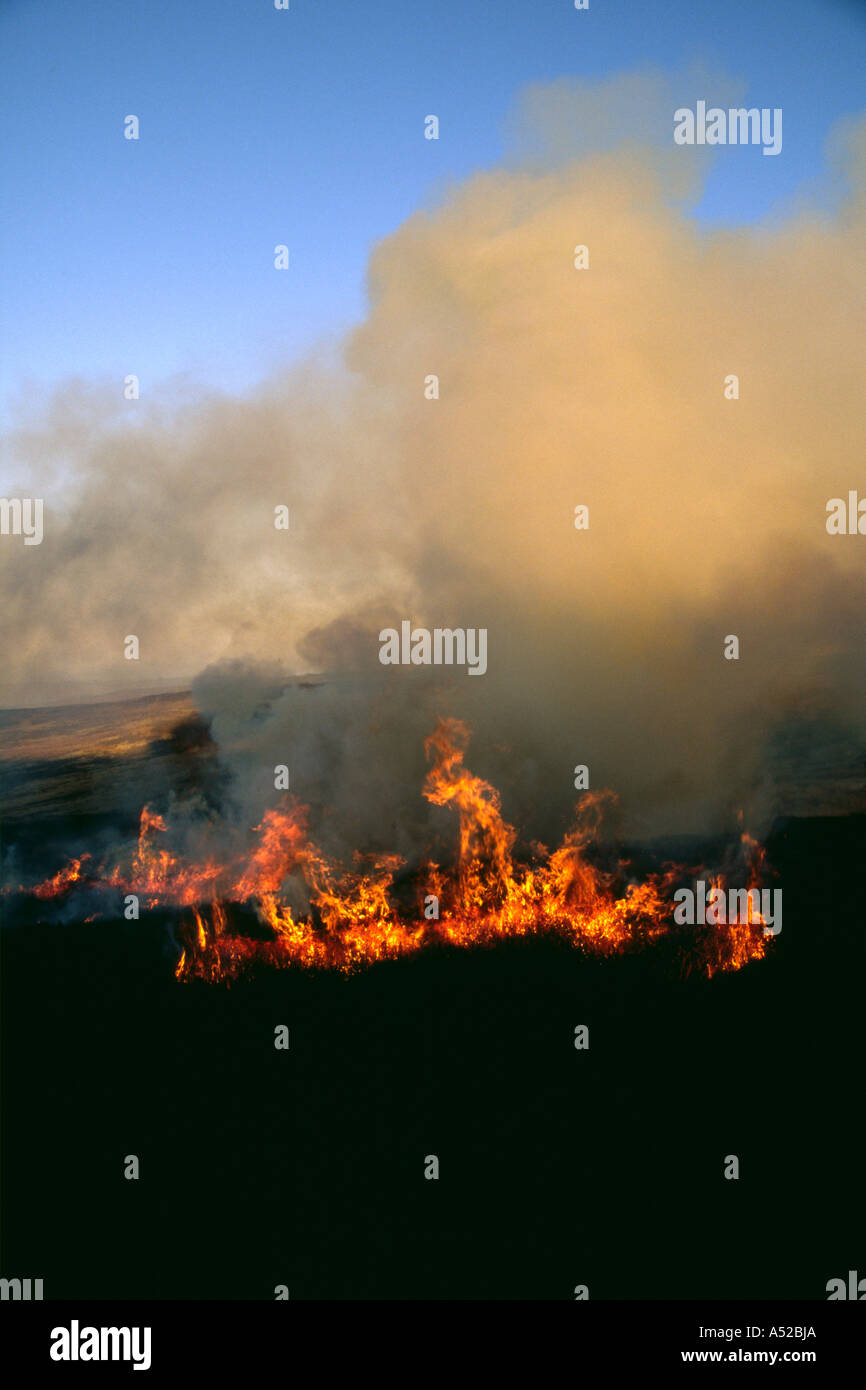 Smoke rising from vegetation fire hi-res stock photography and images ...