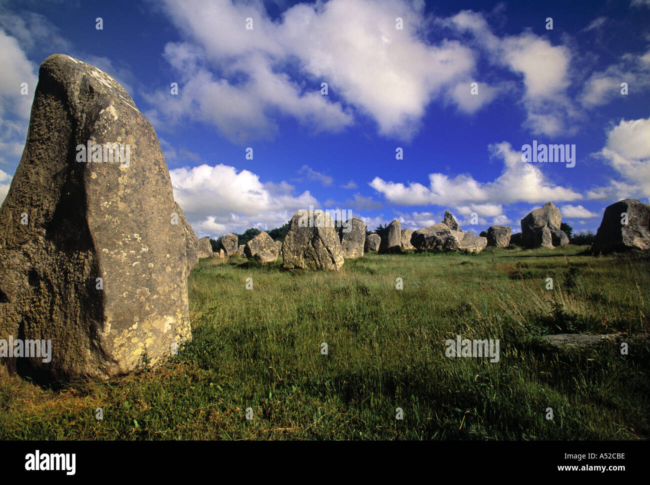 Alignments de Kerlescan, Carnac, Brittany, France Stock Photo - Alamy