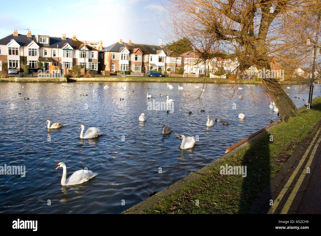 Mill pond emsworth hi-res stock photography and images - Alamy