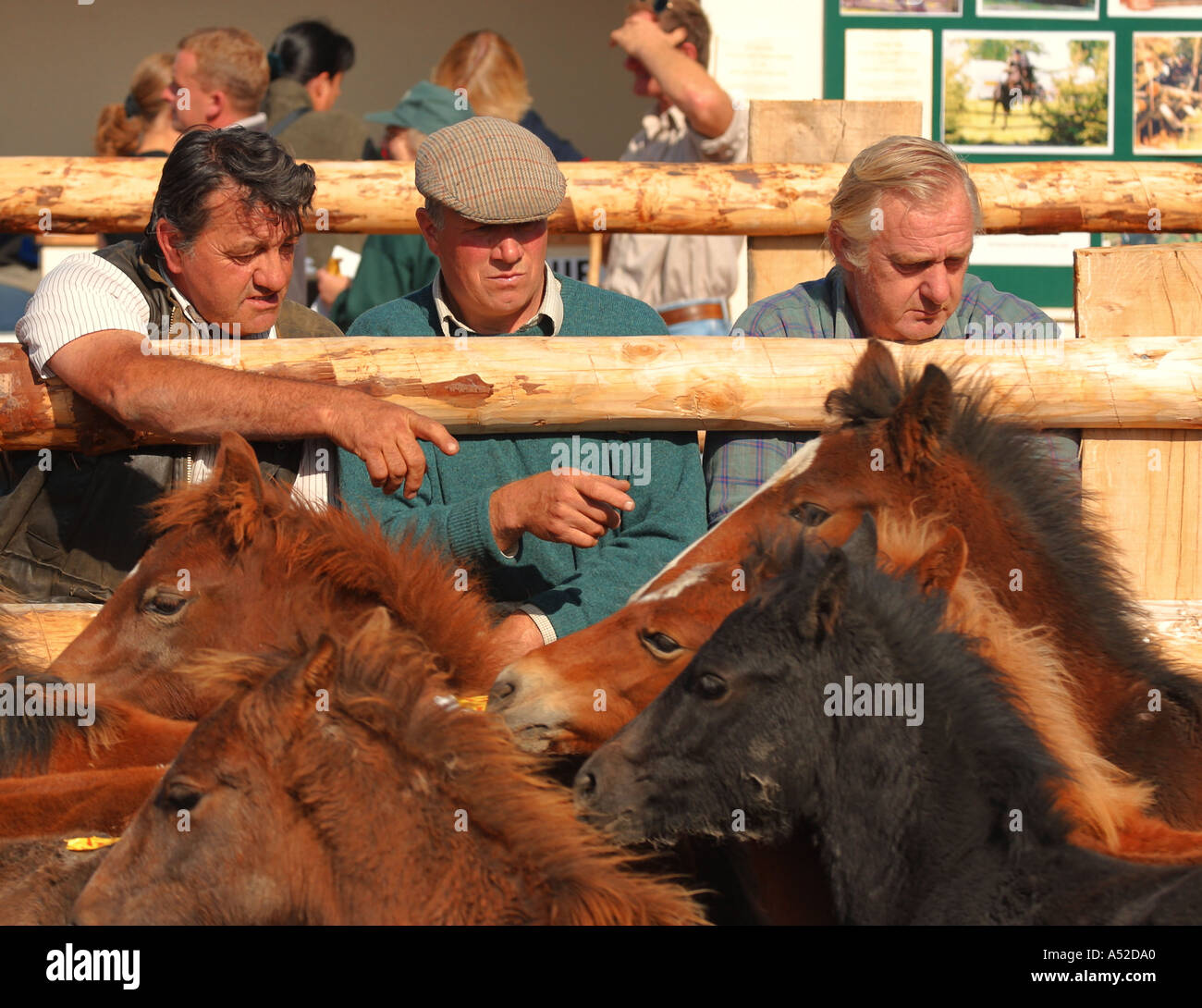 Men at Pony Market Stock Photo - Alamy