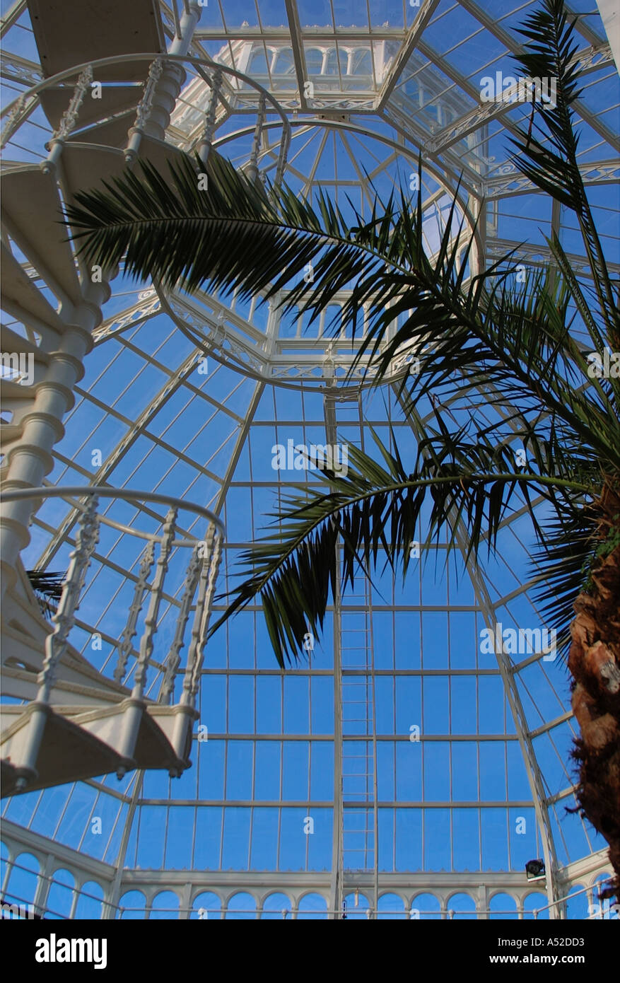 Palm House interior Stock Photo - Alamy