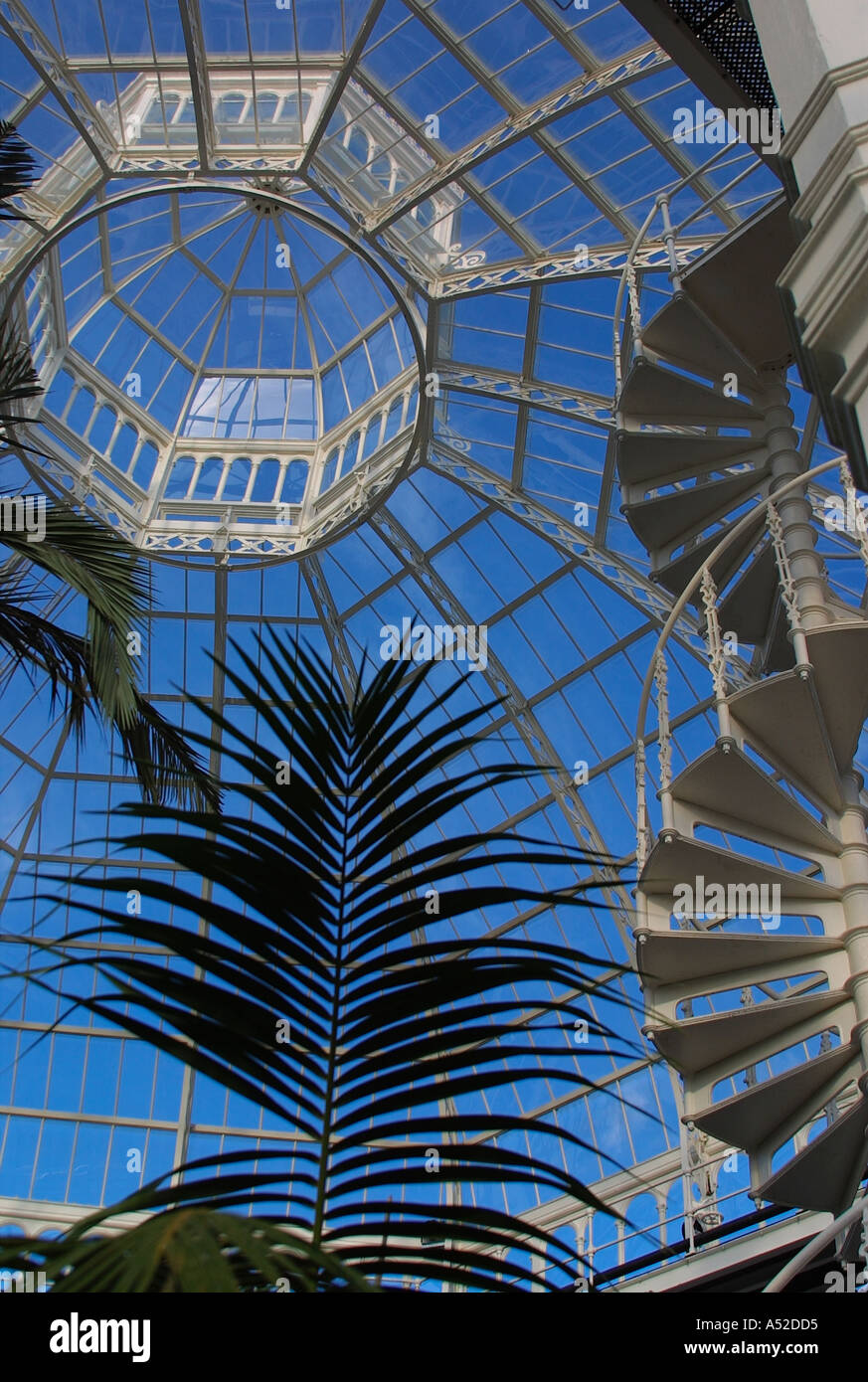 Palm House interior Stock Photo - Alamy