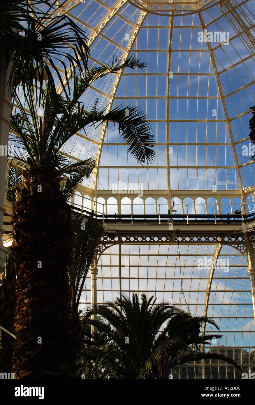 Sefton park palm house hi-res stock photography and images - Alamy
