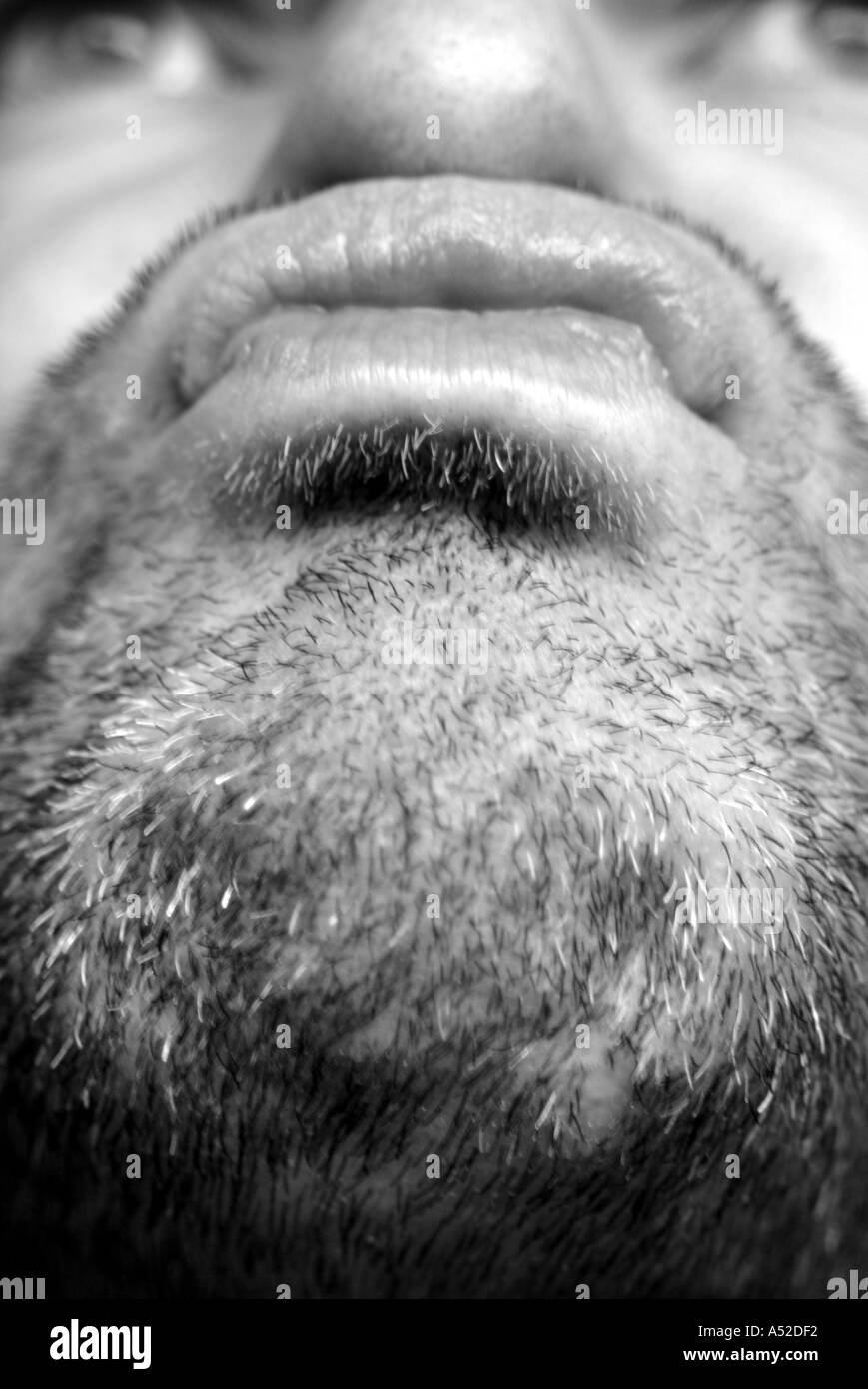 unshaven chin beard stubble face hair Stock Photo - Alamy