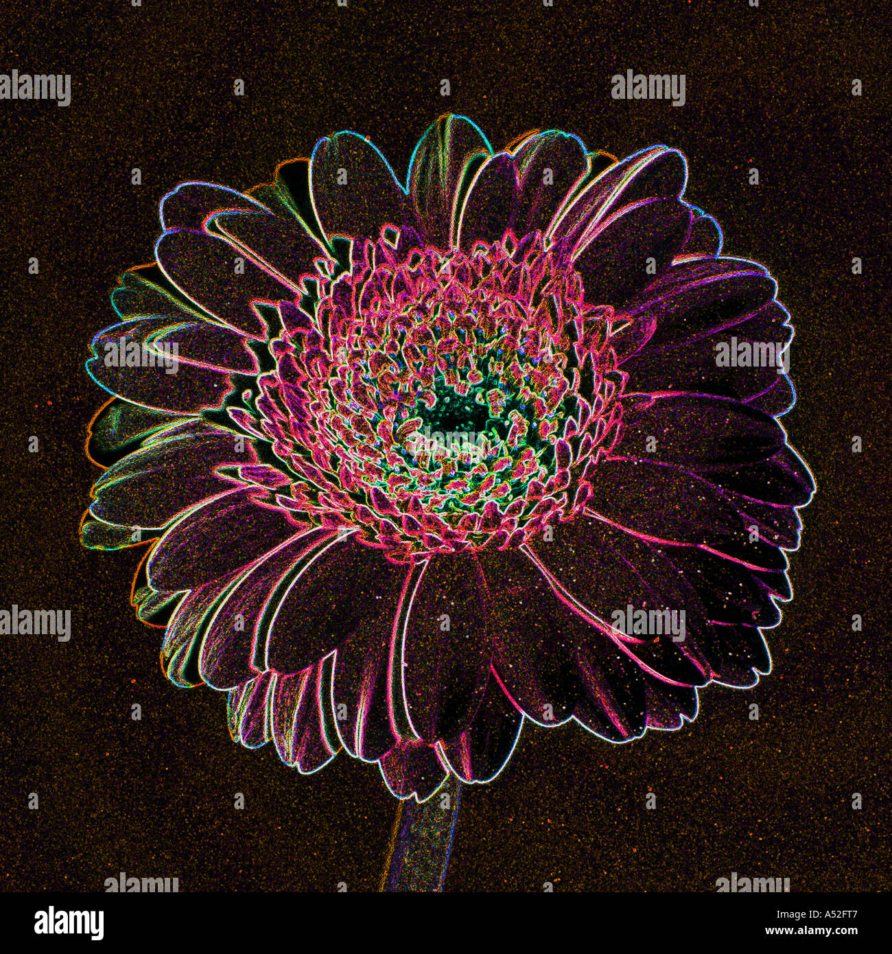 Neon daisy hi-res stock photography and images - Alamy