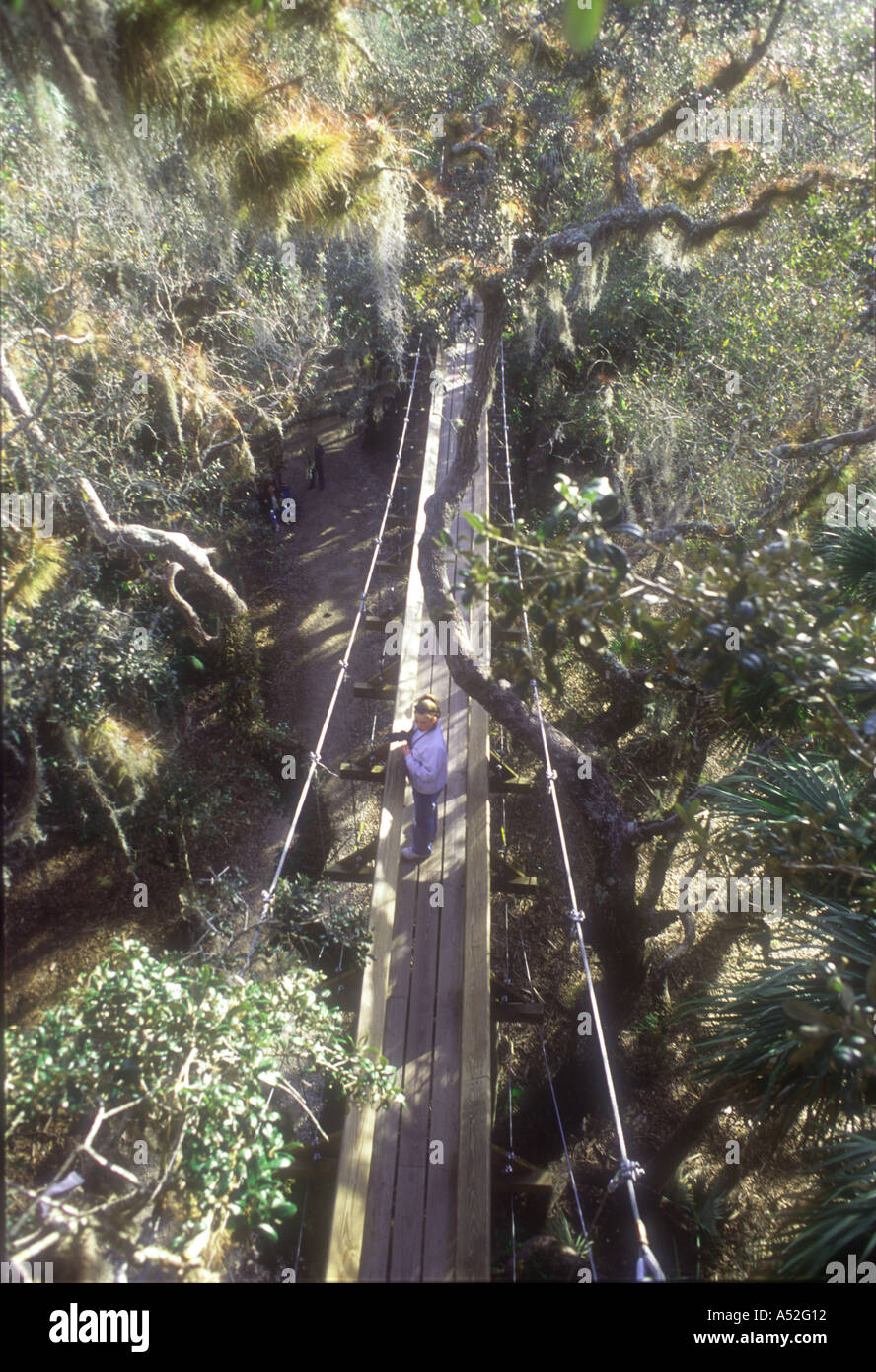 Myakka River State Park canopy boardwalk Sarasota County Florida tree ...