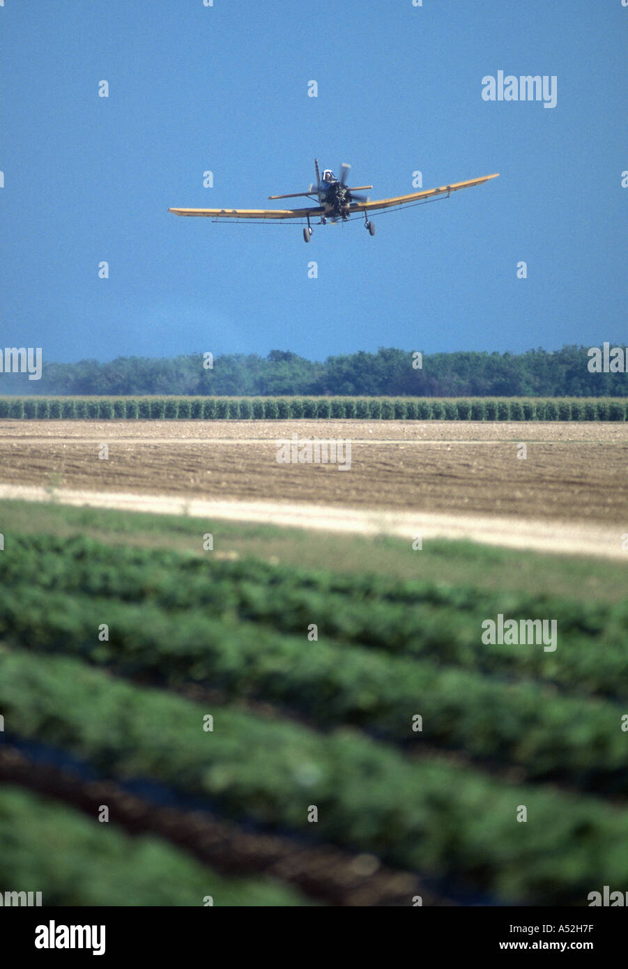 crop duster crop dusting airplane aircraft agriculture farming ...