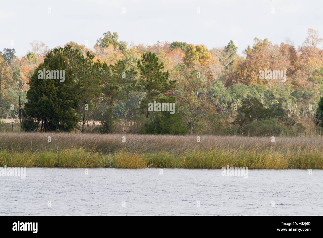 Drayton Hall Charleston South Carolina Plantation historic historical ...