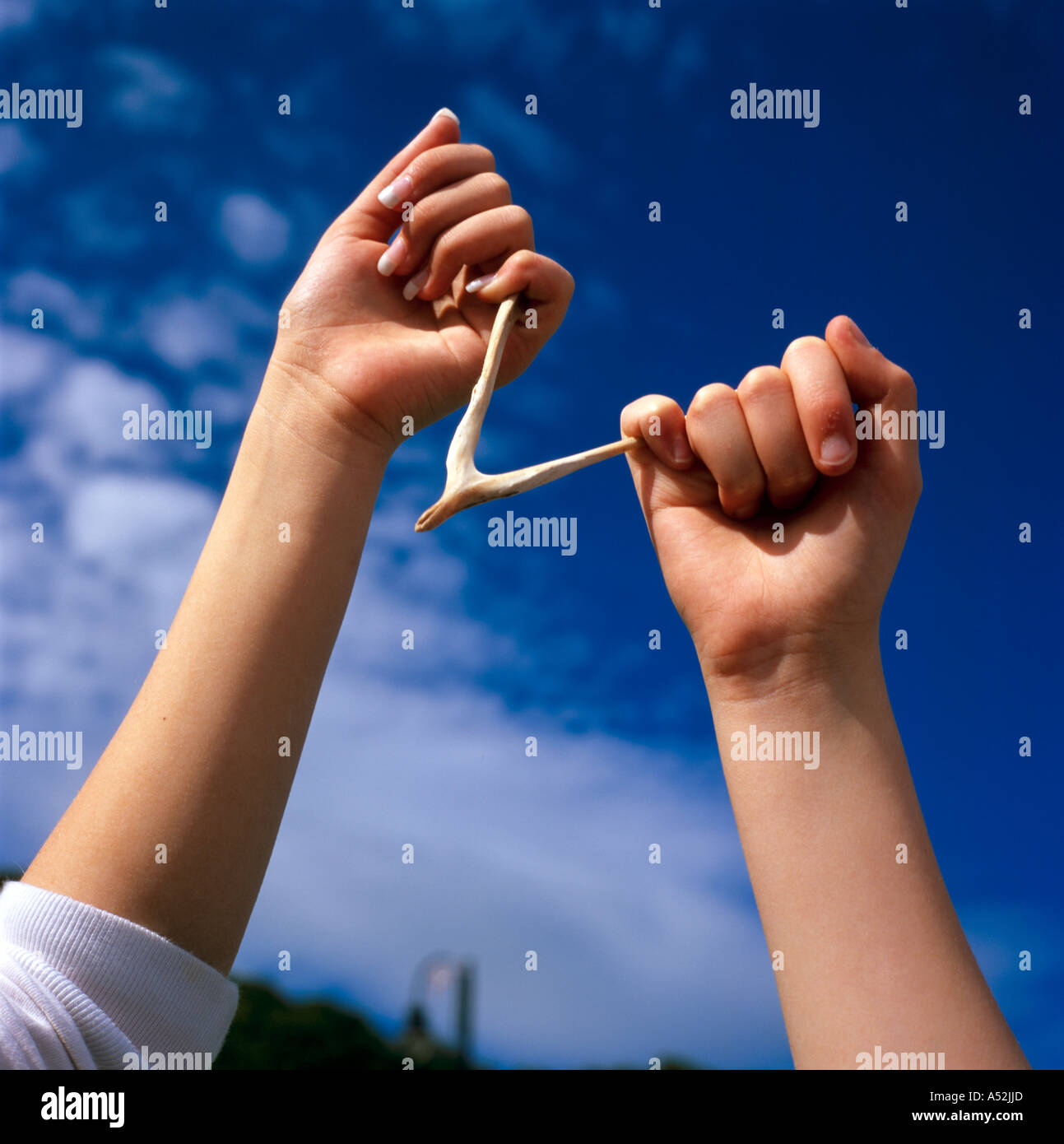 Wish bone hi-res stock photography and images - Alamy