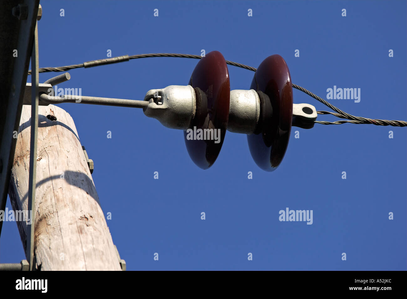 A close up view of a power line/electricity cable insulator on a pole ...