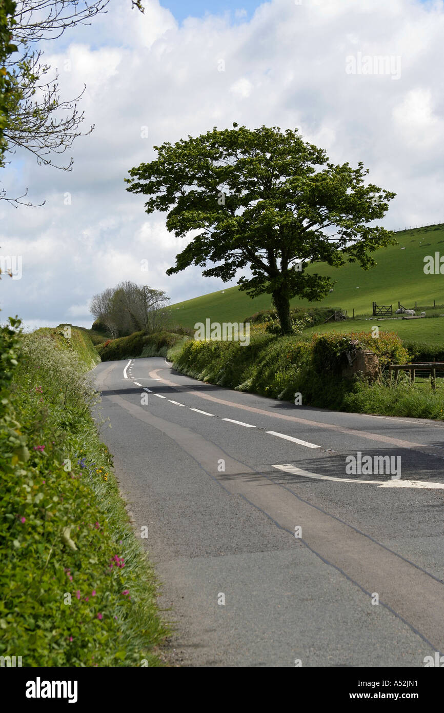 A British country road in the UK Stock Photo - Alamy