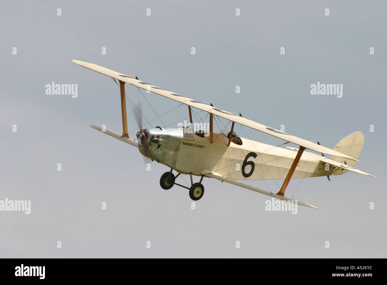 Hawker cygnet hi-res stock photography and images - Alamy