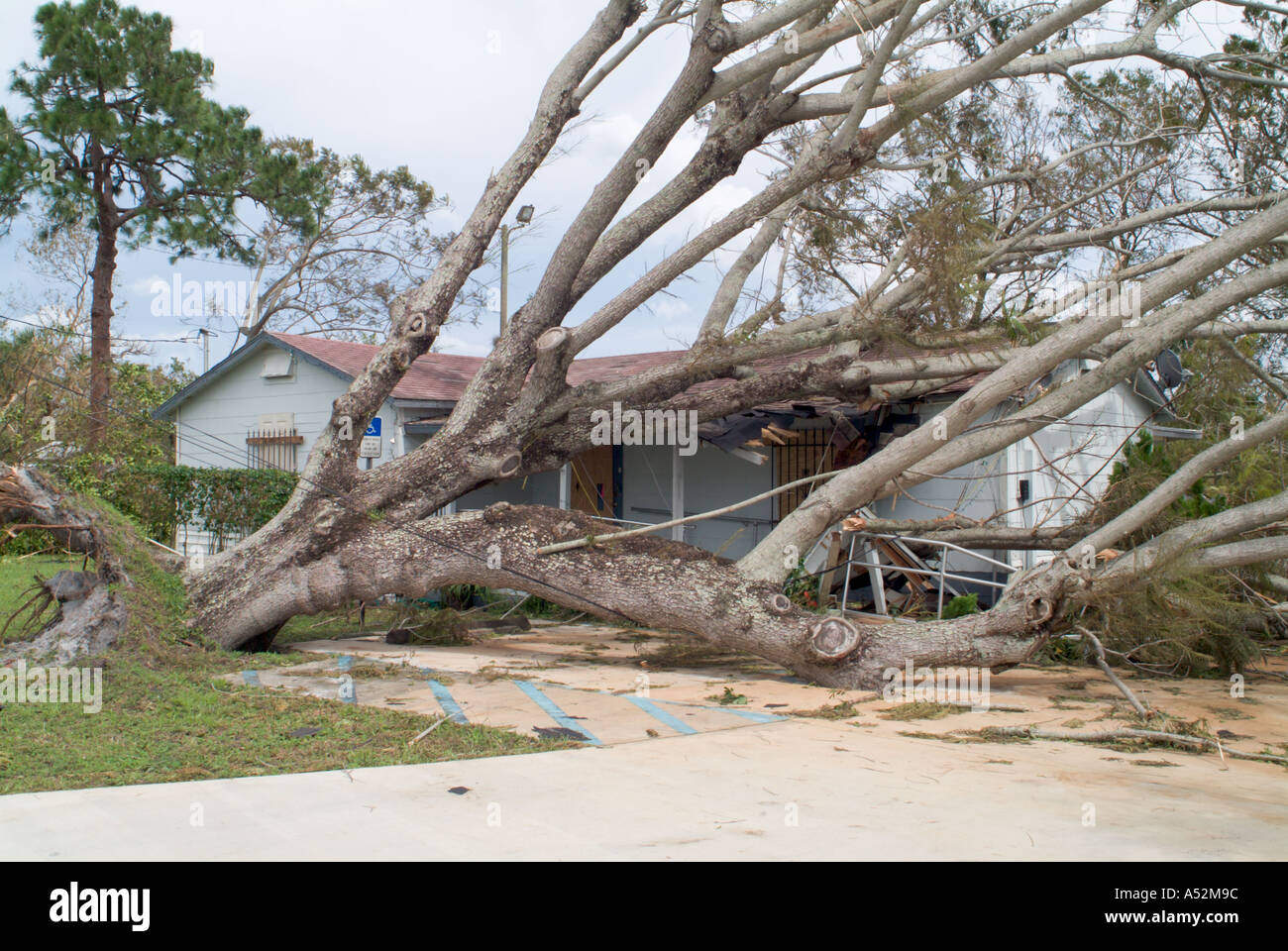 Hurricane Frances Saint Lucie County Florida damage destruction storm ...
