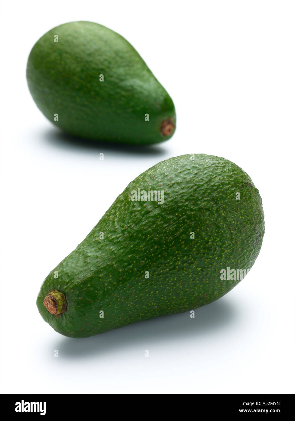 Fuerte avocado hi-res stock photography and images - Alamy