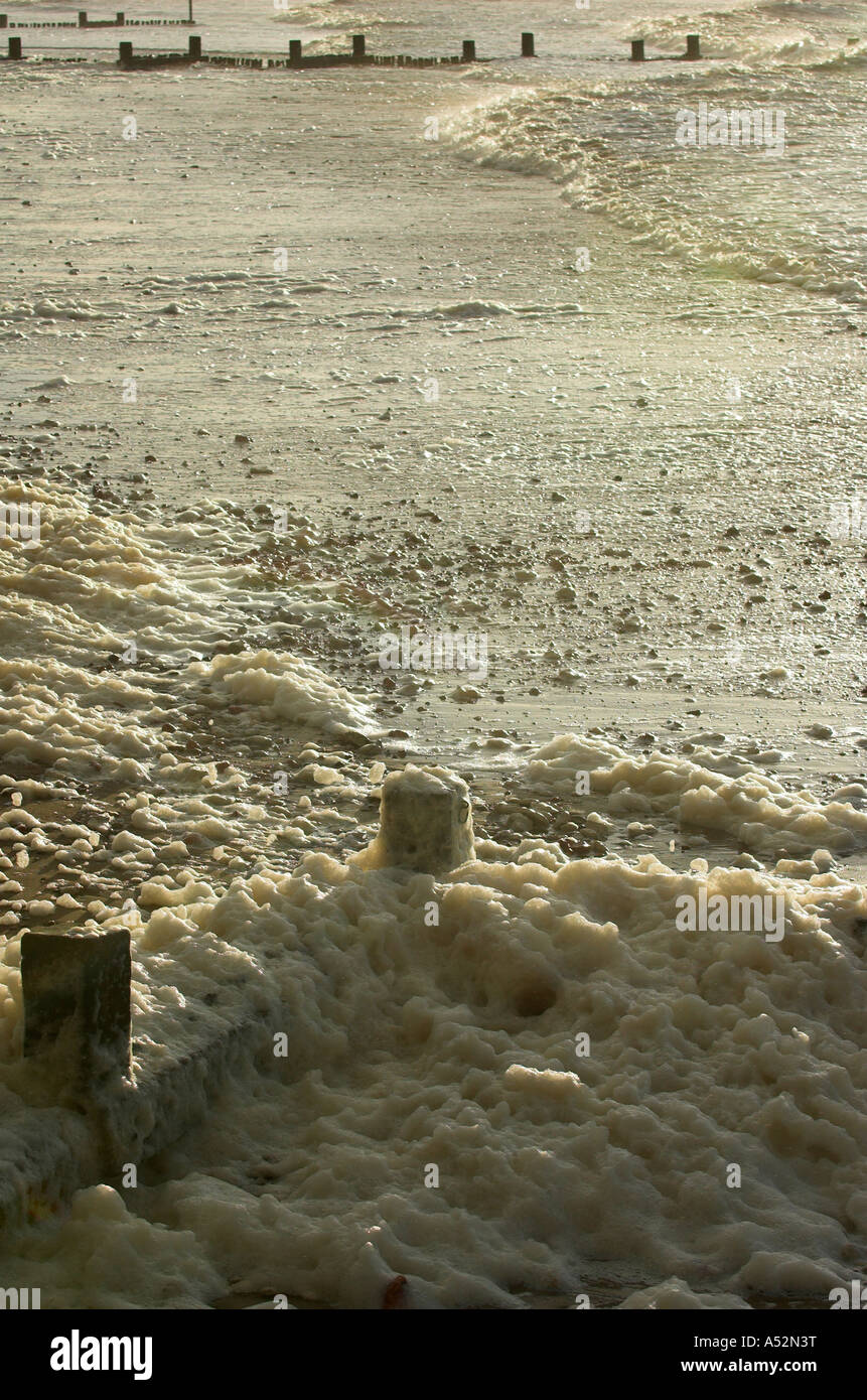 Foam washed up on groyne on beach Hunstanton Norfolk UK Stock Photo - Alamy