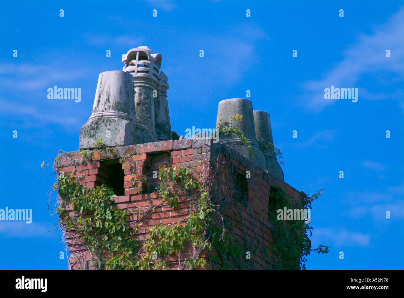 Cumberland Island Georgia GA Dungeness ruins Carnegie mansion chimney ...
