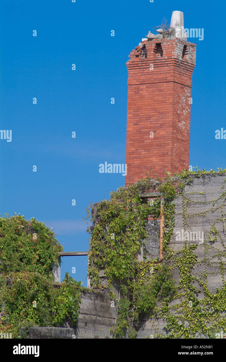 Cumberland Island Georgia GA Dungeness ruins Carnegie mansion Stock ...