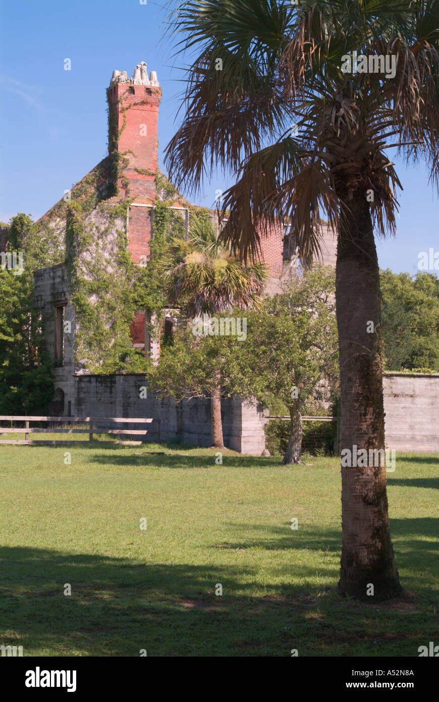Cumberland Island Georgia GA Dungeness ruins Carnegie mansion palm tree ...