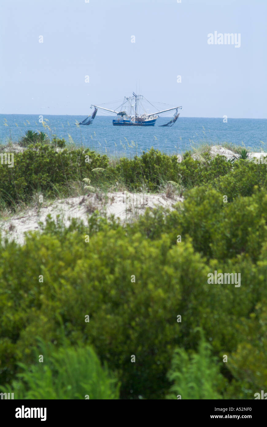 Cumberland Island National Seashore Georgia GA sand dunes dune fields ...