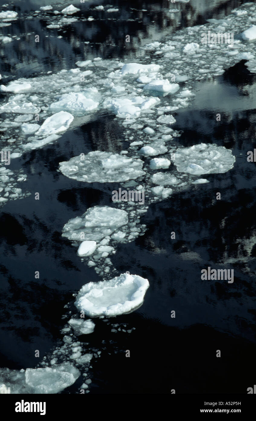 Pancake Ice, Antarctica Stock Photo - Alamy