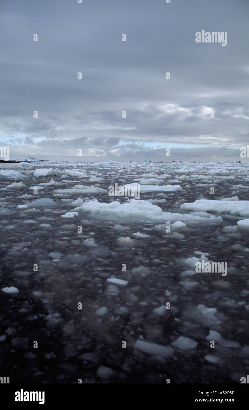 Ice flows, Antarctica Stock Photo - Alamy