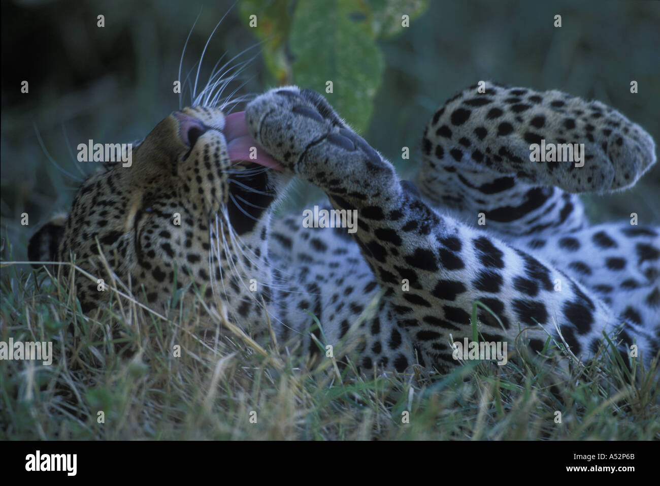 Content low perspective hi-res stock photography and images - Alamy