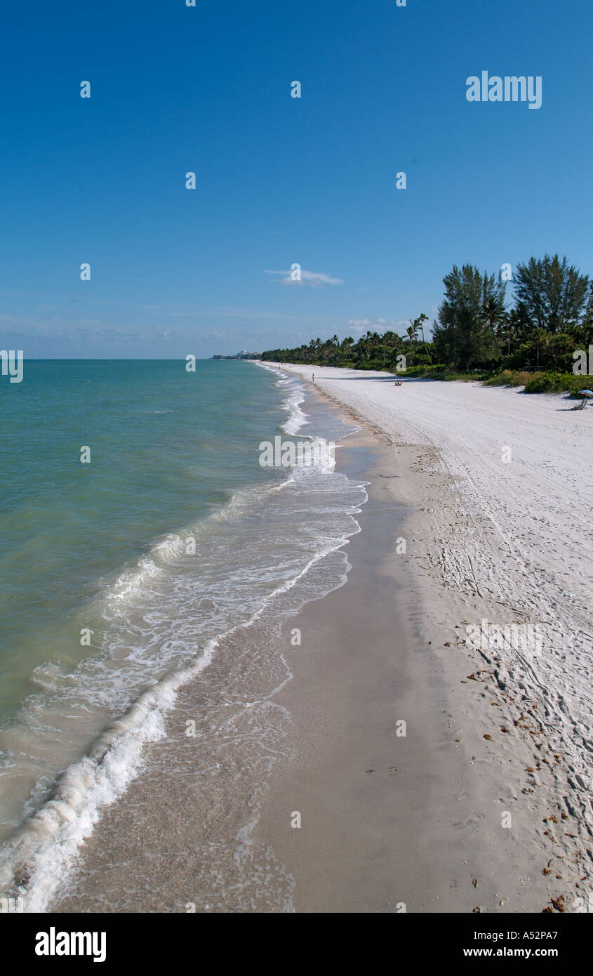 Naples Florida beach scene coastal shoreline beaches Mexico clear blue ...