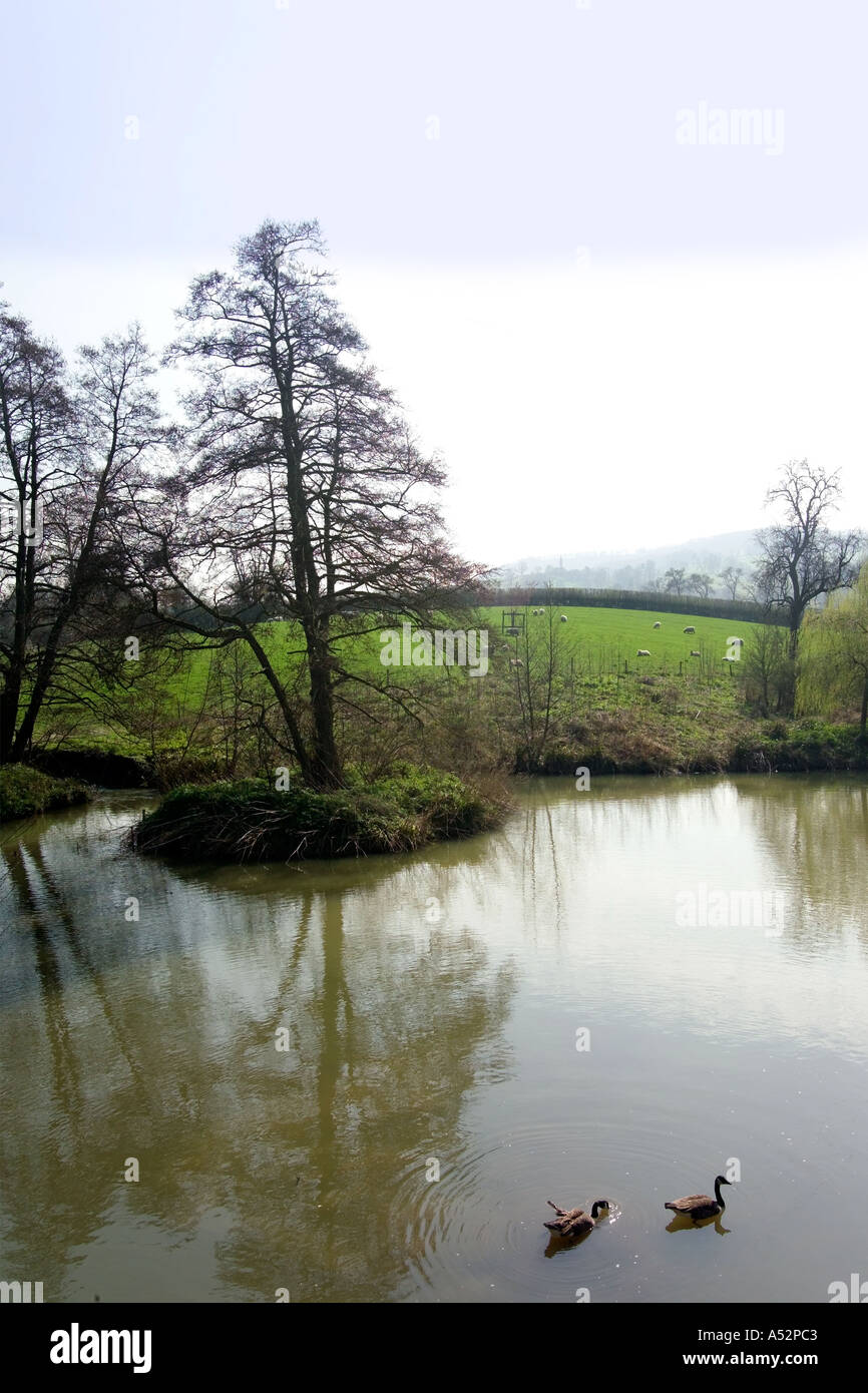 england gloucestershire the cotswolds winchcombe village grounds of ...