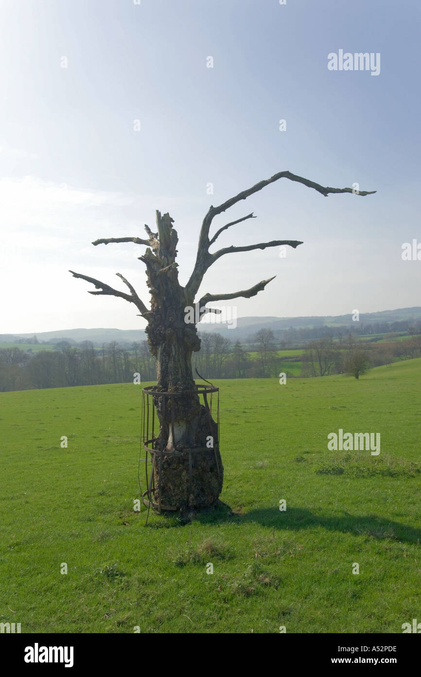 england gloucestershire the cotswolds winchcombe village grounds of ...