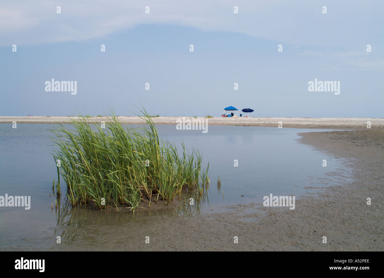 St Simons Island Georgia GA beach beaches sand dunes coastal sea oats ...