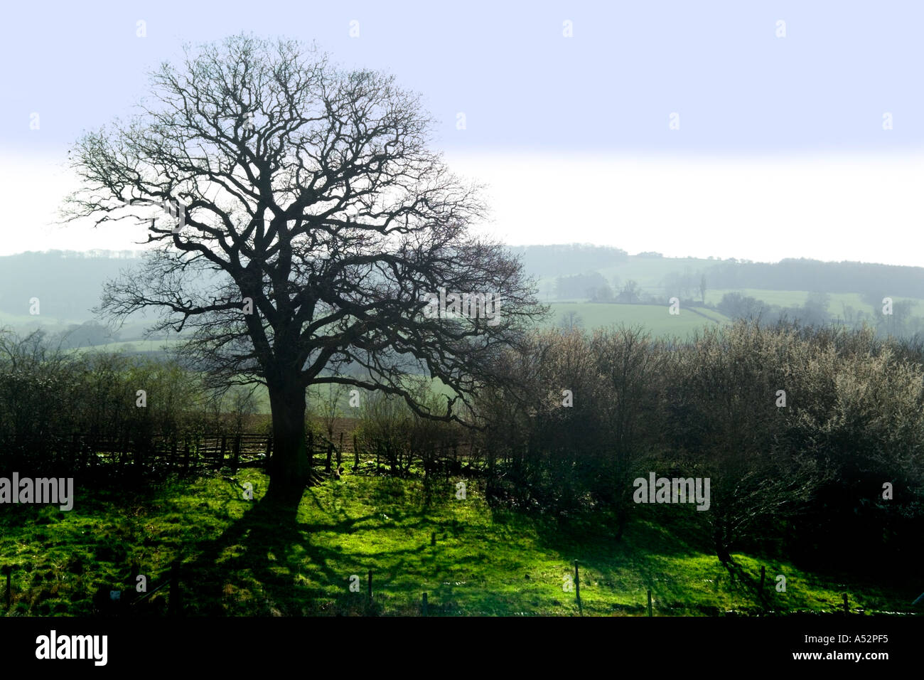 england gloucestershire the cotswolds winchcombe village grounds of ...
