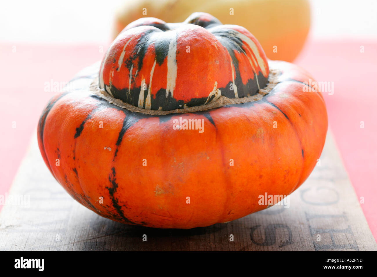 Turk turban squash hi-res stock photography and images - Alamy