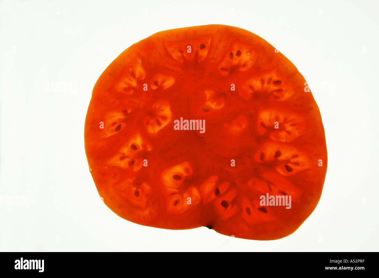 Plum tomato cross section detail Stock Photo - Alamy