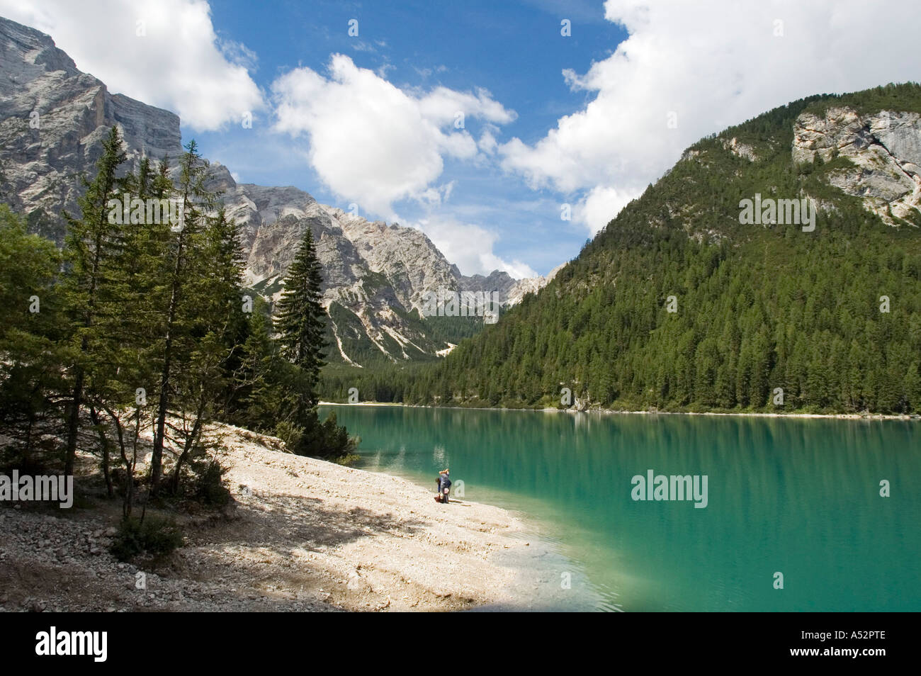 At the Pragser Lake Lago di Braies in the Puster valley South Tyrol ...
