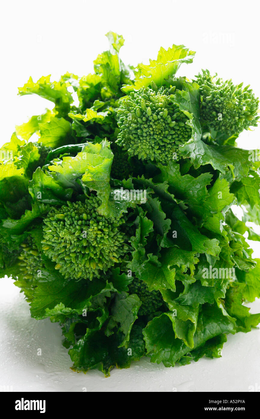 Rabe hi-res stock photography and images - Alamy