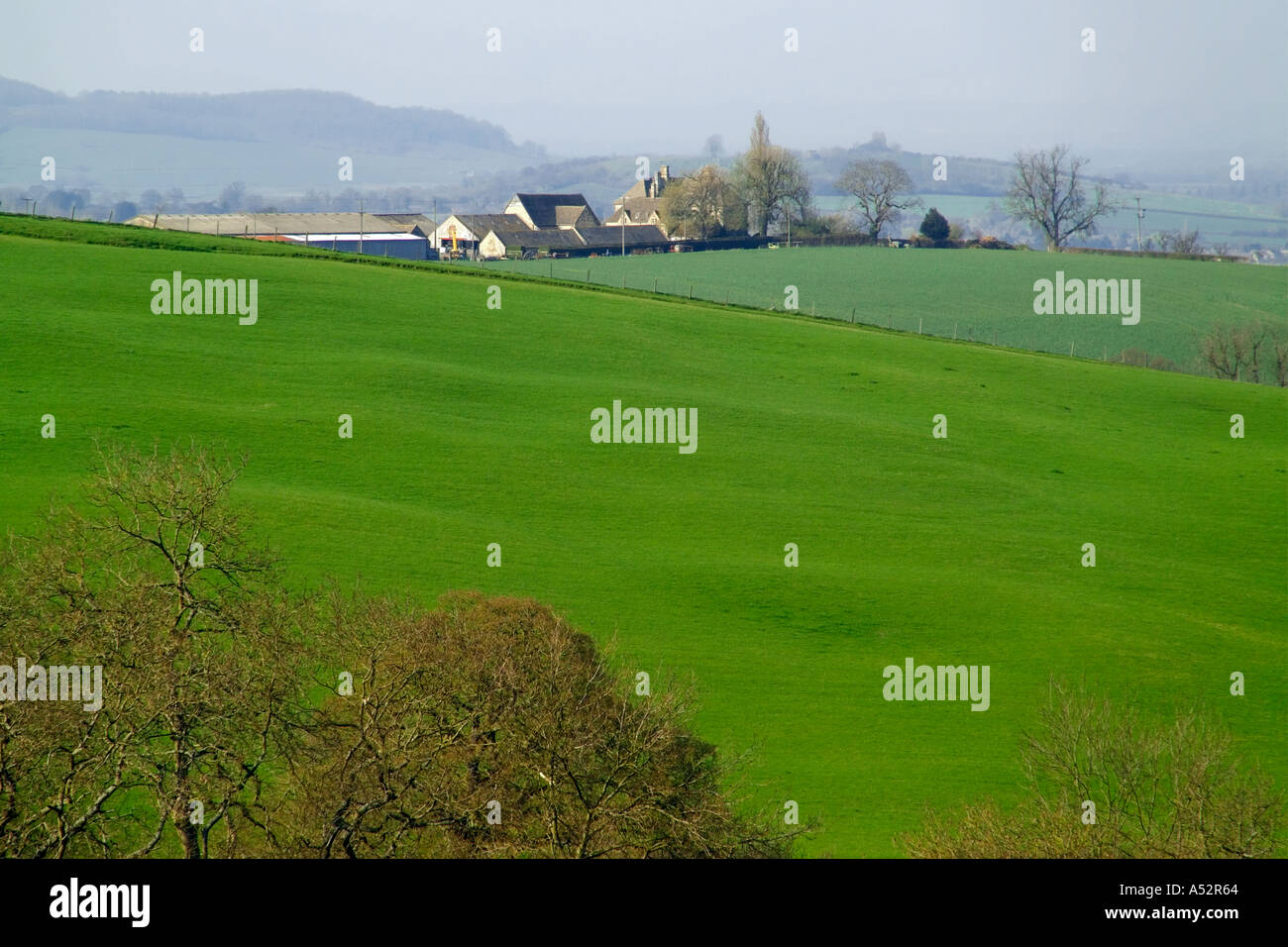 england gloucestershire the cotswolds winchcombe view over cotswold ...