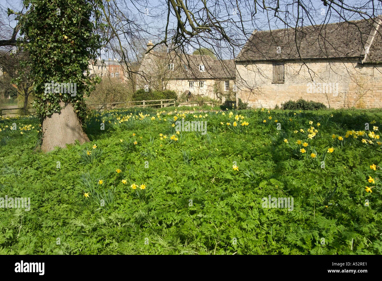 england gloucestershire the cotswolds winchcombe village honey coloured ...