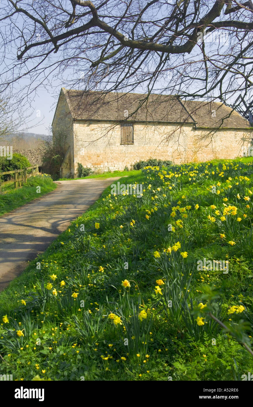 england gloucestershire the cotswolds winchcombe village honey coloured ...