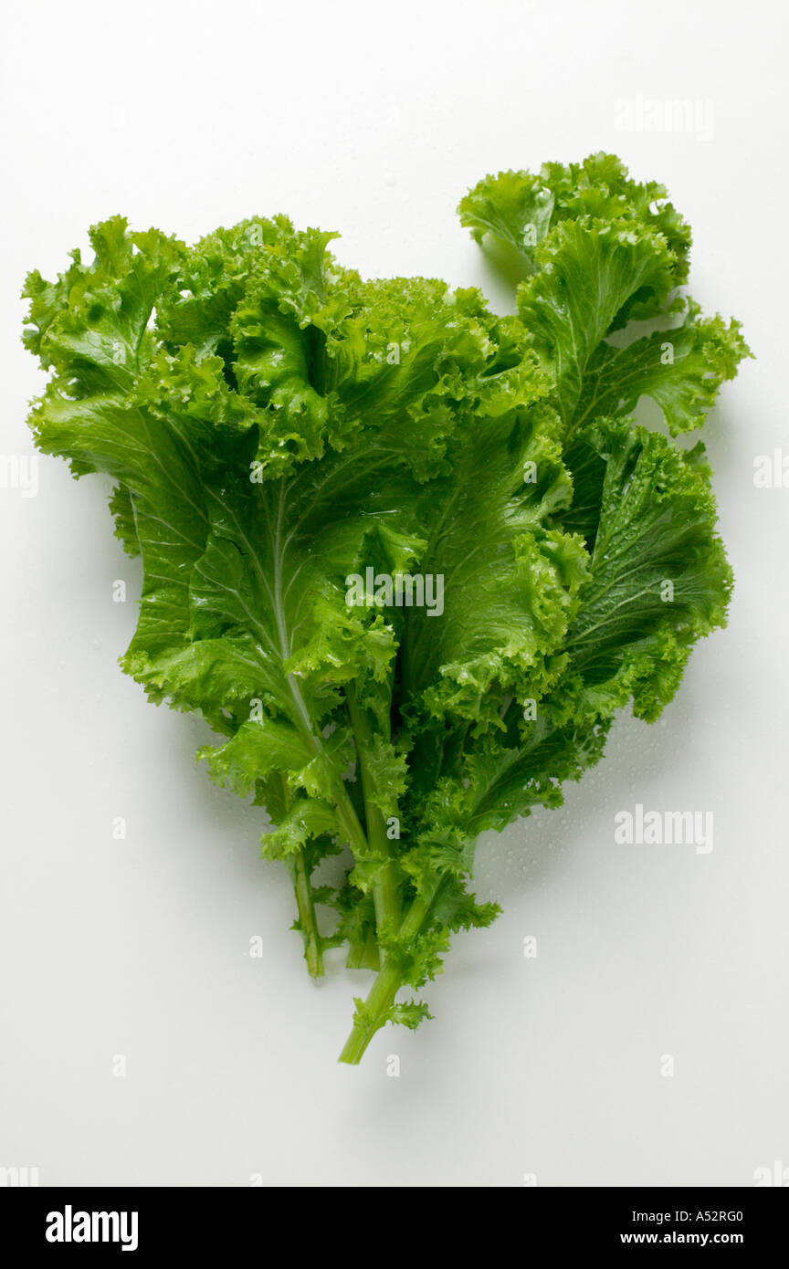Mustard greens with curly leaves Stock Photo - Alamy
