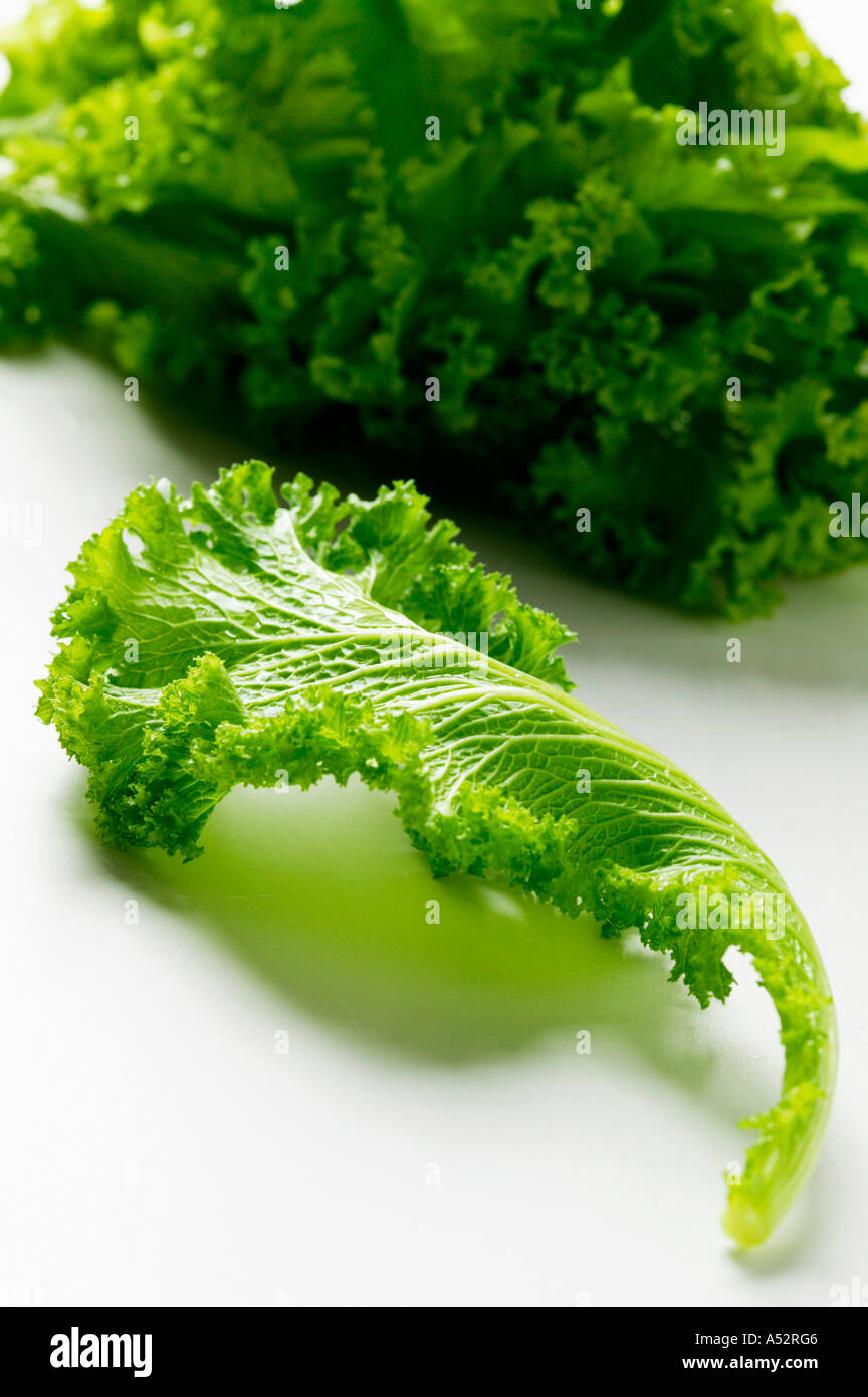Mustard greens with curly leaves Stock Photo - Alamy