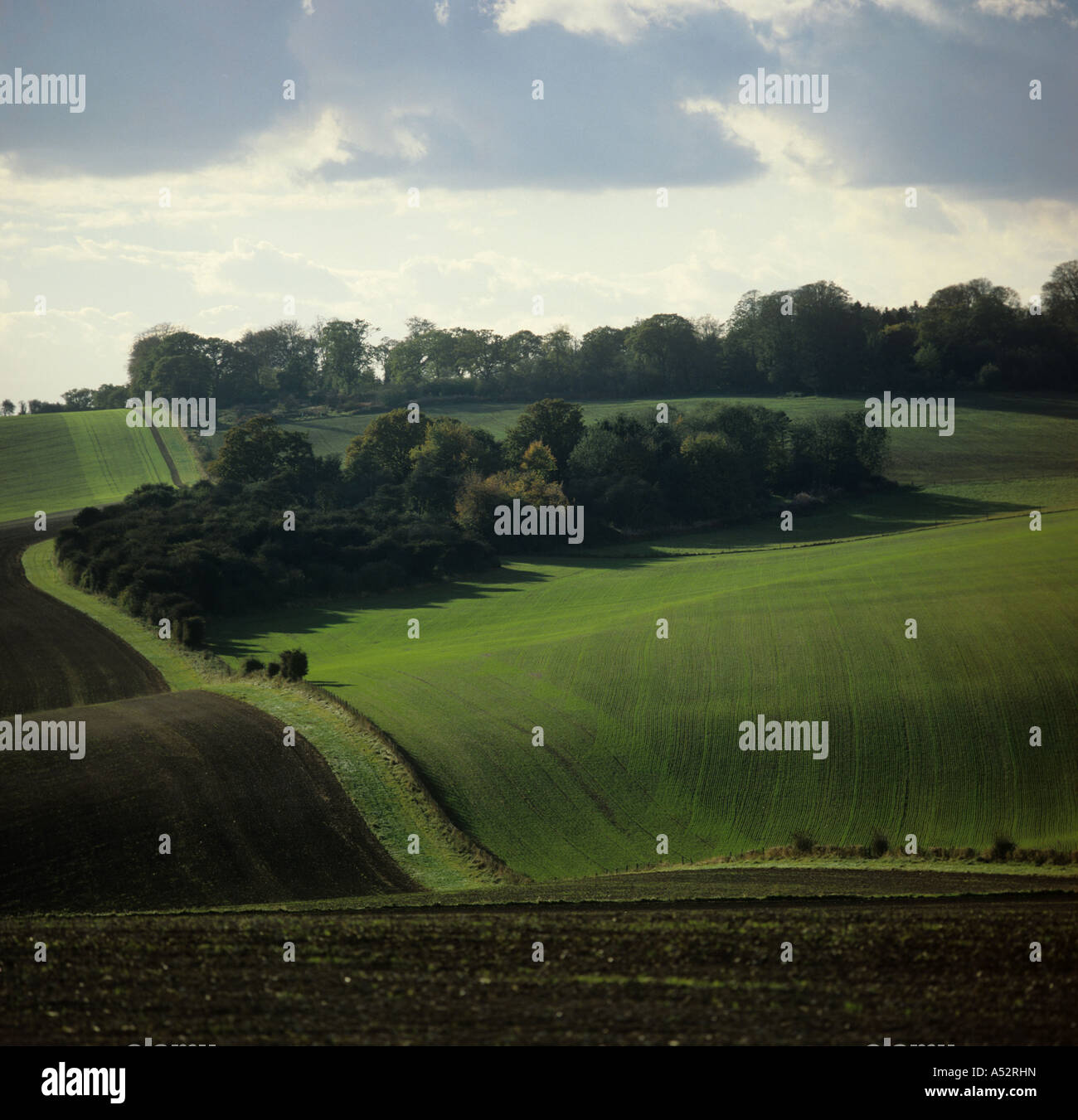 Fallow land hi-res stock photography and images - Alamy