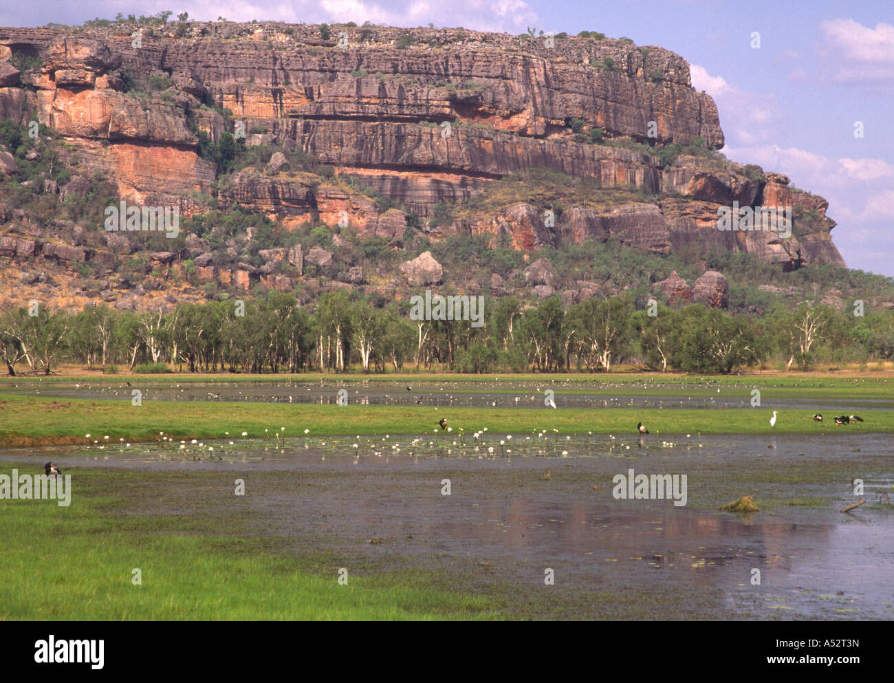 Australian billabong dry hi-res stock photography and images - Alamy