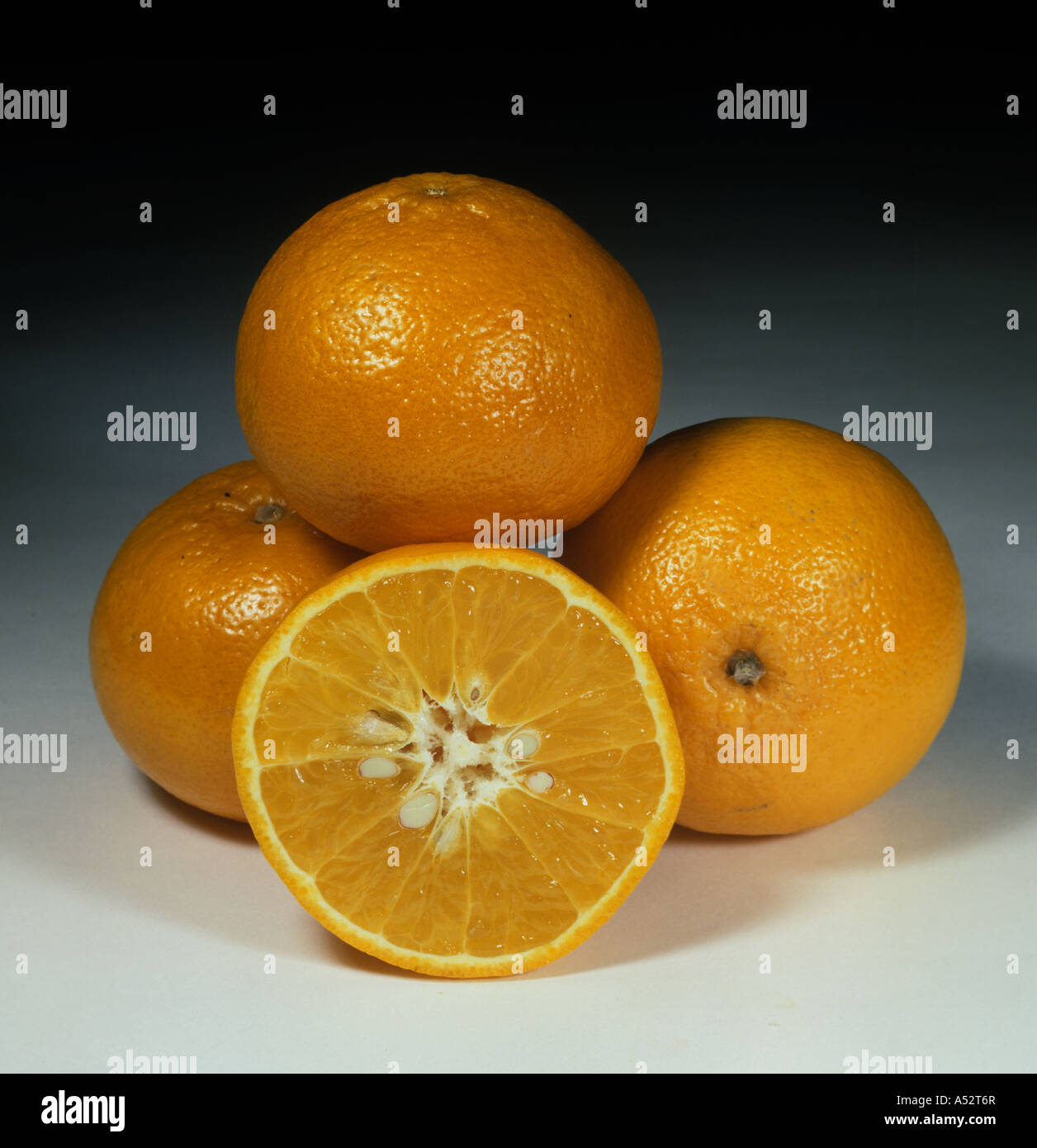 Whole sectioned citrus fruit orange variety Orlando Tangelo Stock Photo ...