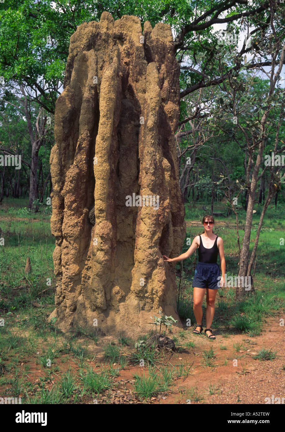 Termite tower hi-res stock photography and images - Alamy