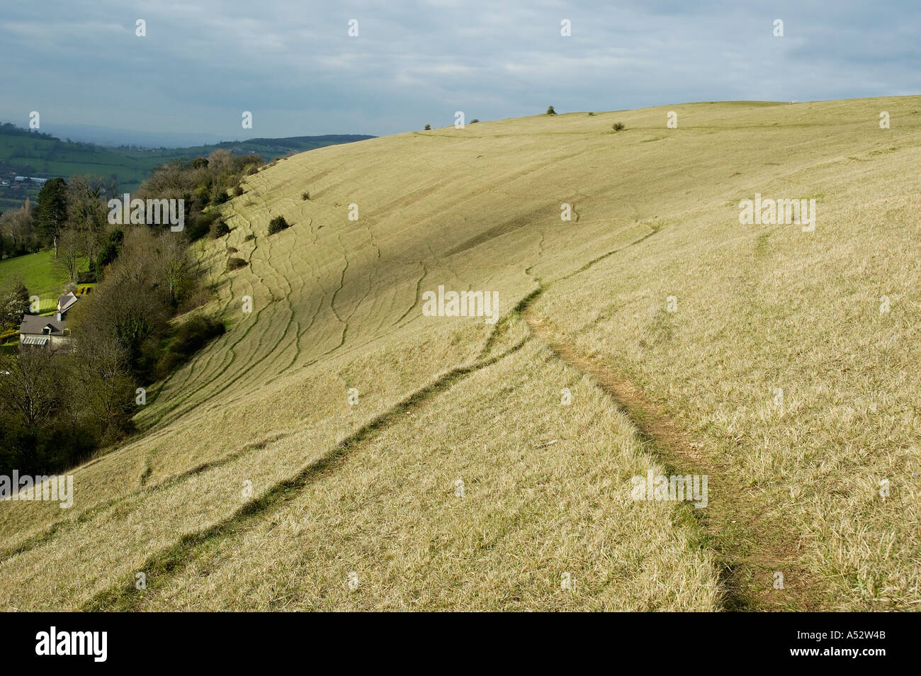 Selsley Common Stroud Gloucestershire Stock Photo - Alamy