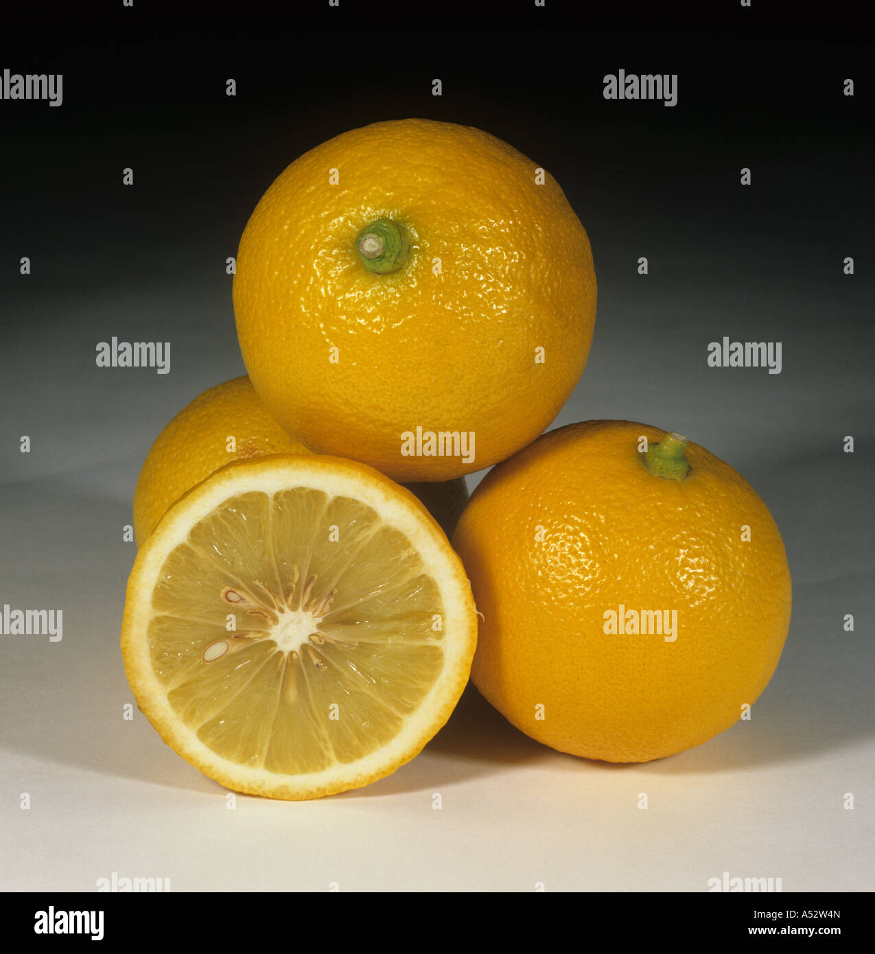 Whole sectioned bergamot Citrus bergamia fruit Stock Photo - Alamy
