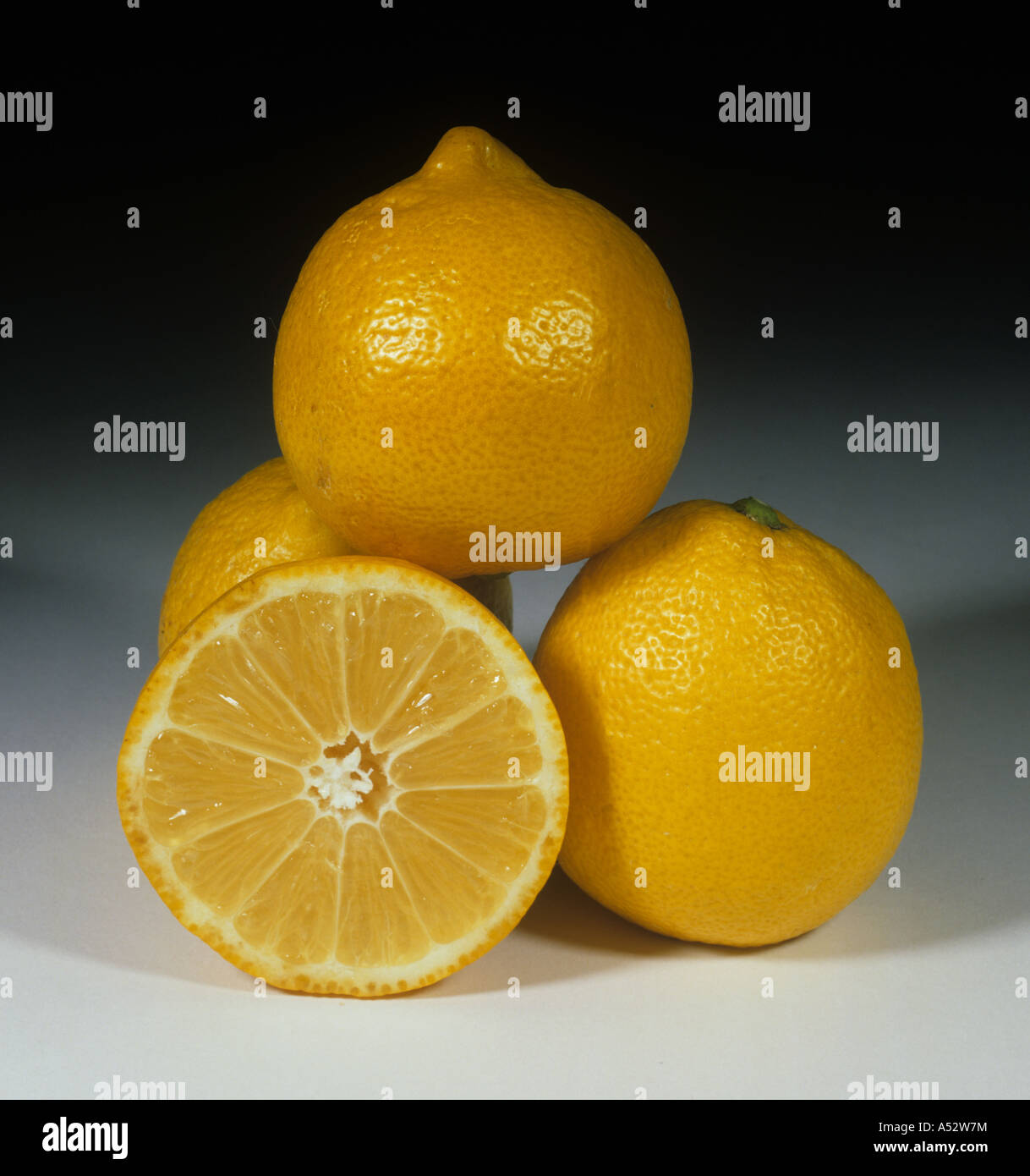 Whole and section lime fruit variety Palestine lime or Indian lime ...