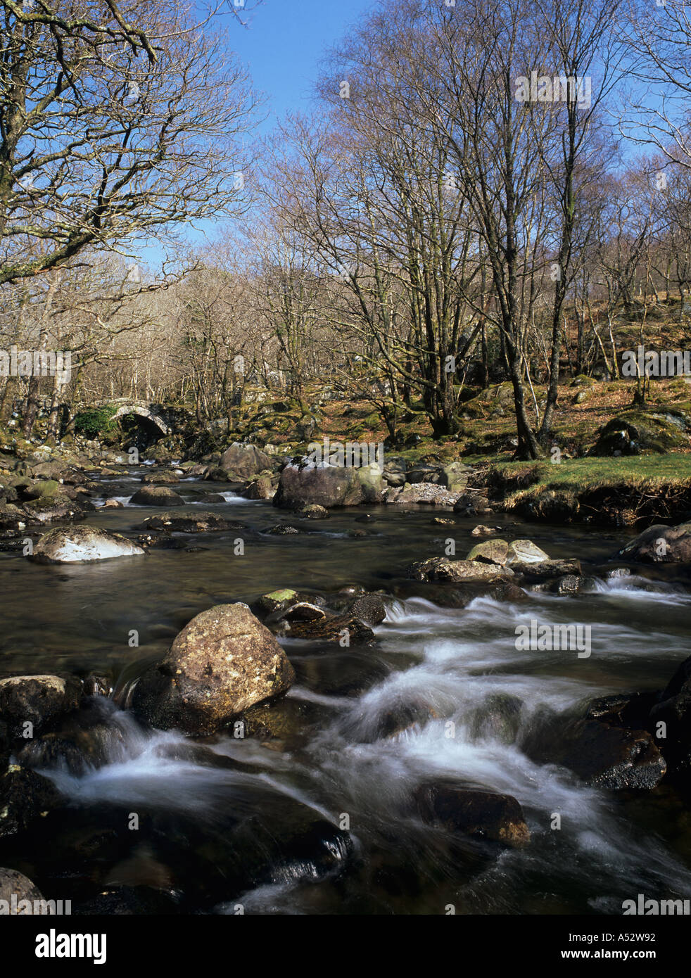 AFON ARTRO and OLD STONE BRIDGE in wooded valley in Snowdonia "National ...